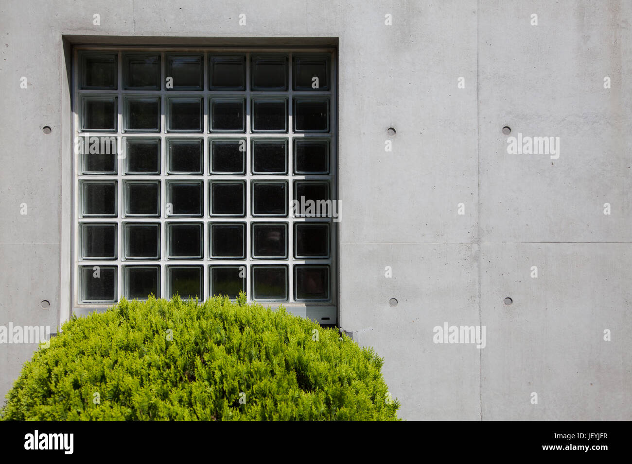 A window in a concrete building a bush below it. Ebisu, Tokyo, Japan ...