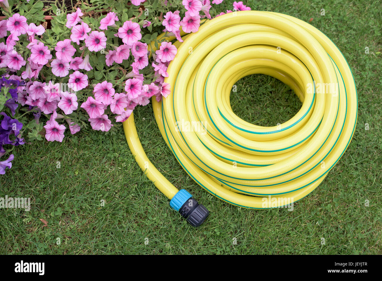 Yellow hosepipe isolated hi-res stock photography and images - Alamy