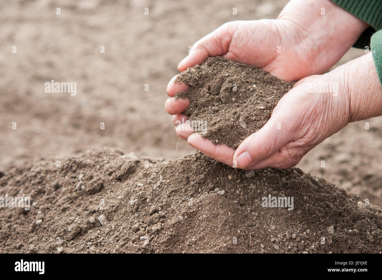 Clear soil in old woman hands- close up Stock Photo - Alamy