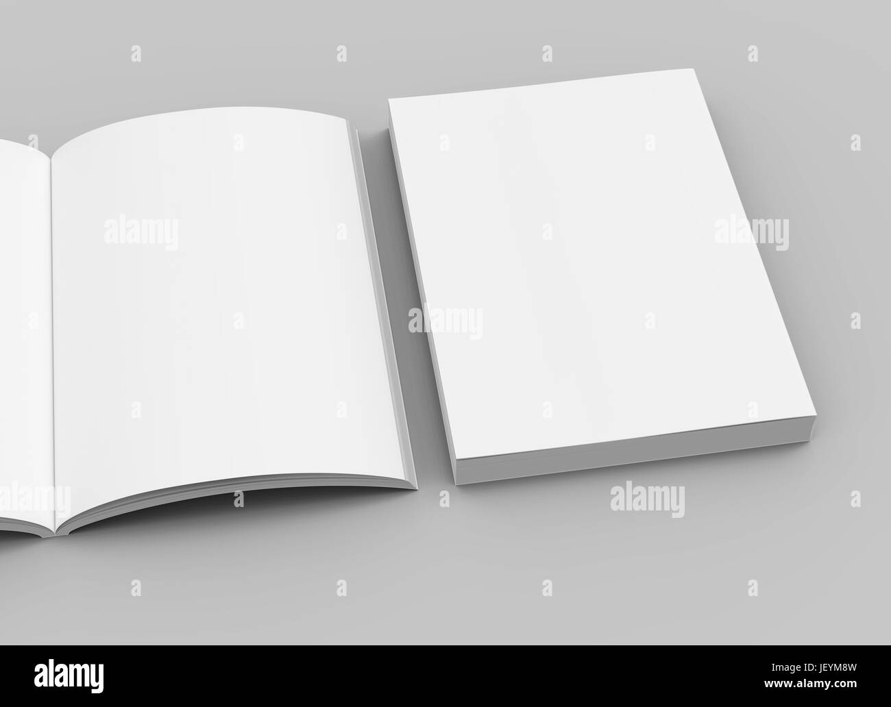 two right tilt blank books on the ground, one open, isolated gray ...