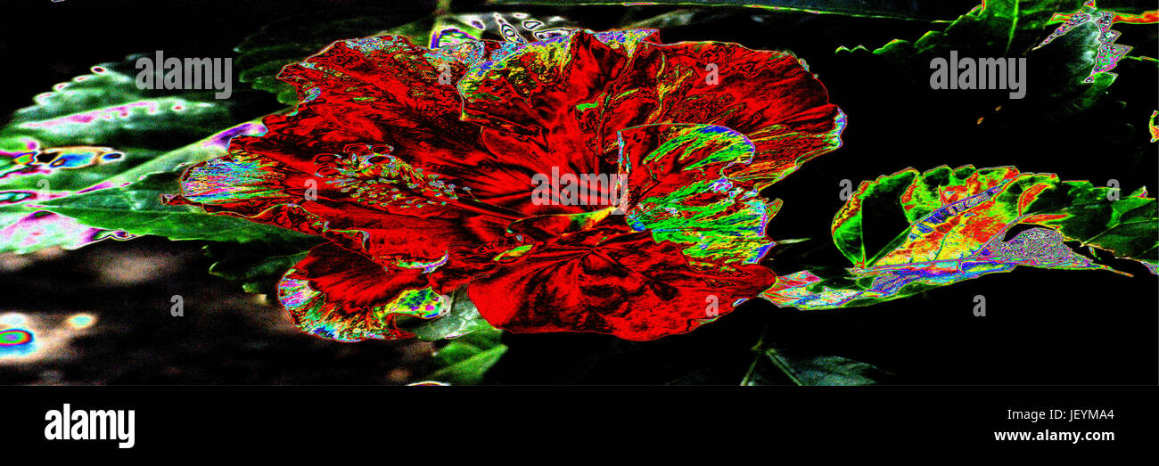 Digital art, abstract three-dimensional objects with soft lighting ...