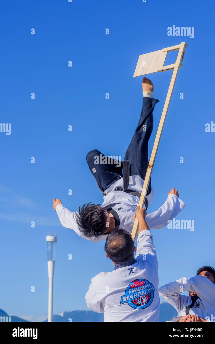 Tae Kwon Do group high kick and break wood planks at Canada 150 Multi ...