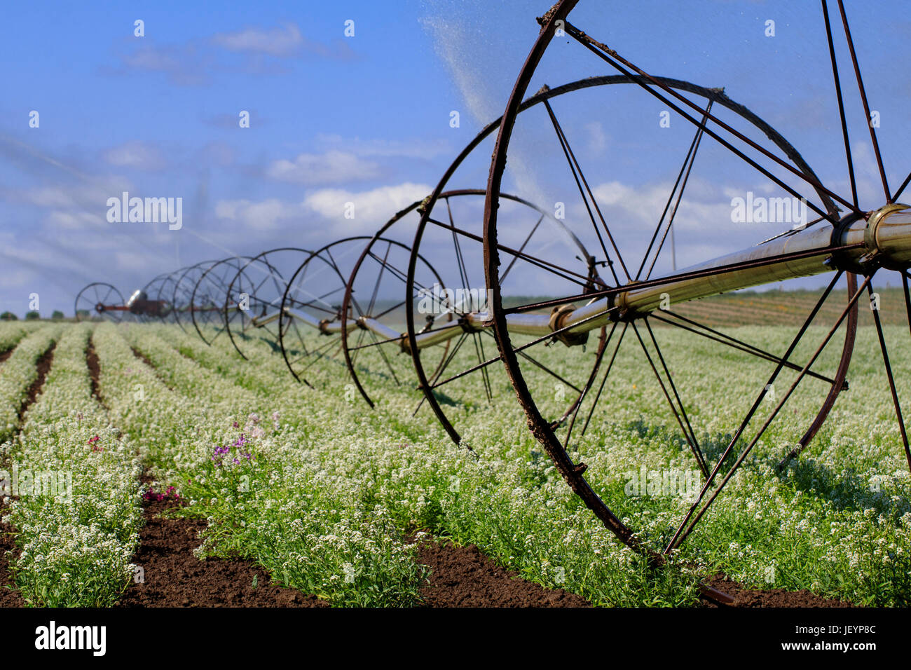 Vintage irrigation hi-res stock photography and images - Alamy