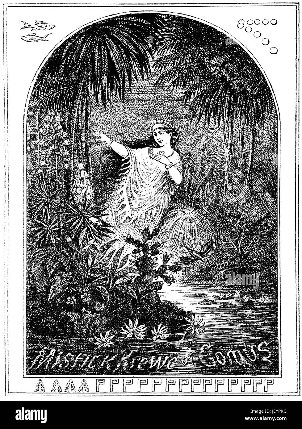 Mistick krewe of comus hi-res stock photography and images - Alamy