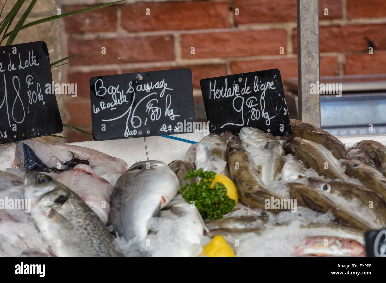French fish market stall hi-res stock photography and images - Alamy