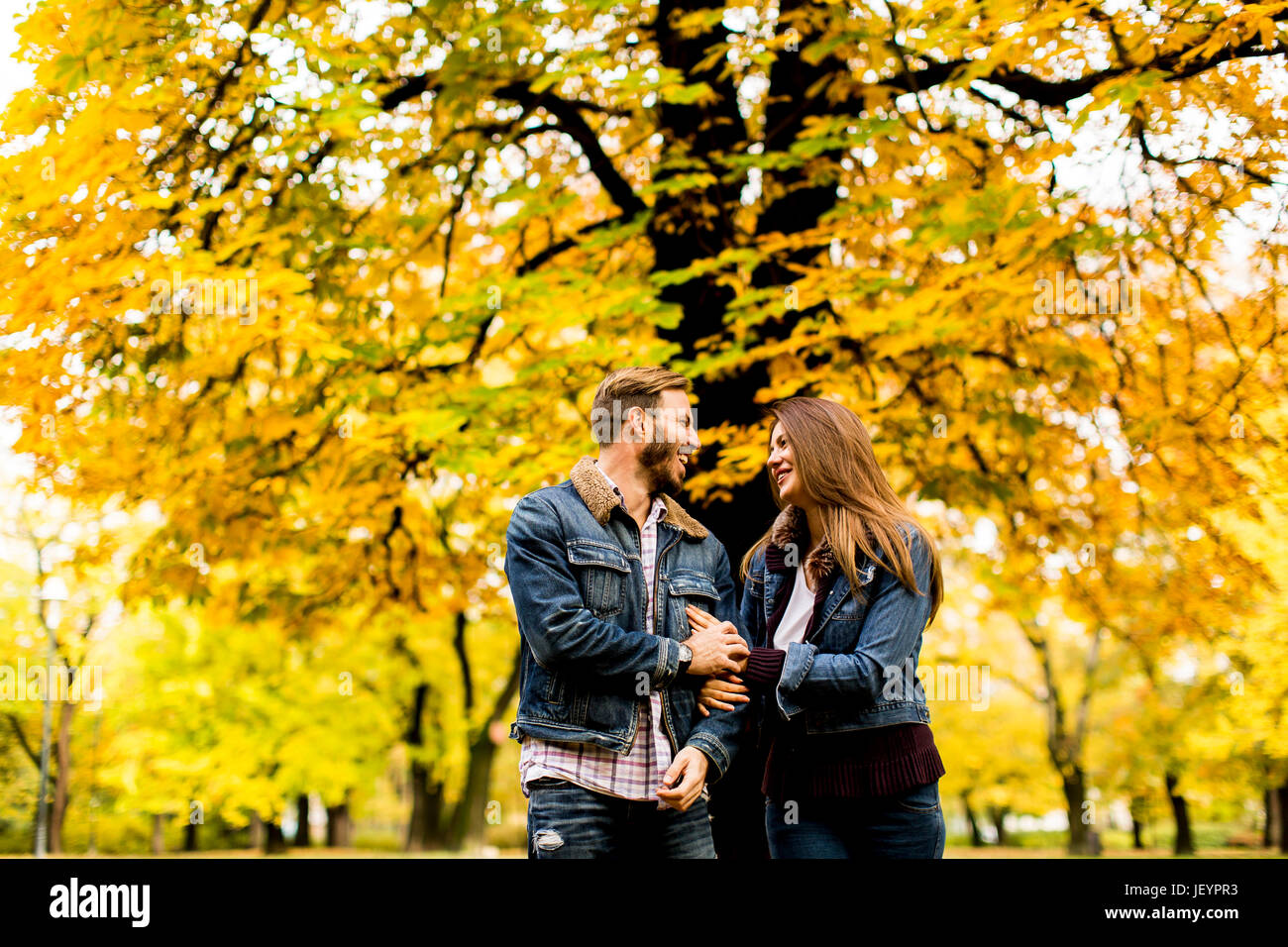 View at smiling couple hugging in autumn park Stock Photo - Alamy