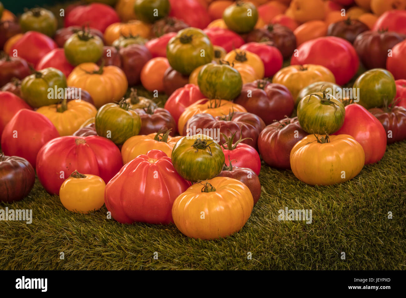 Misshaped tomatoes hi-res stock photography and images - Alamy
