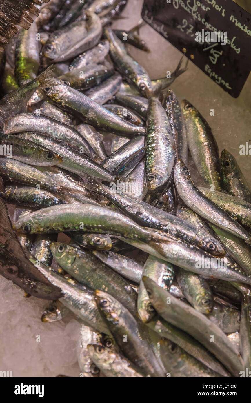 Fresh sardines on a French market stall Stock Photo - Alamy