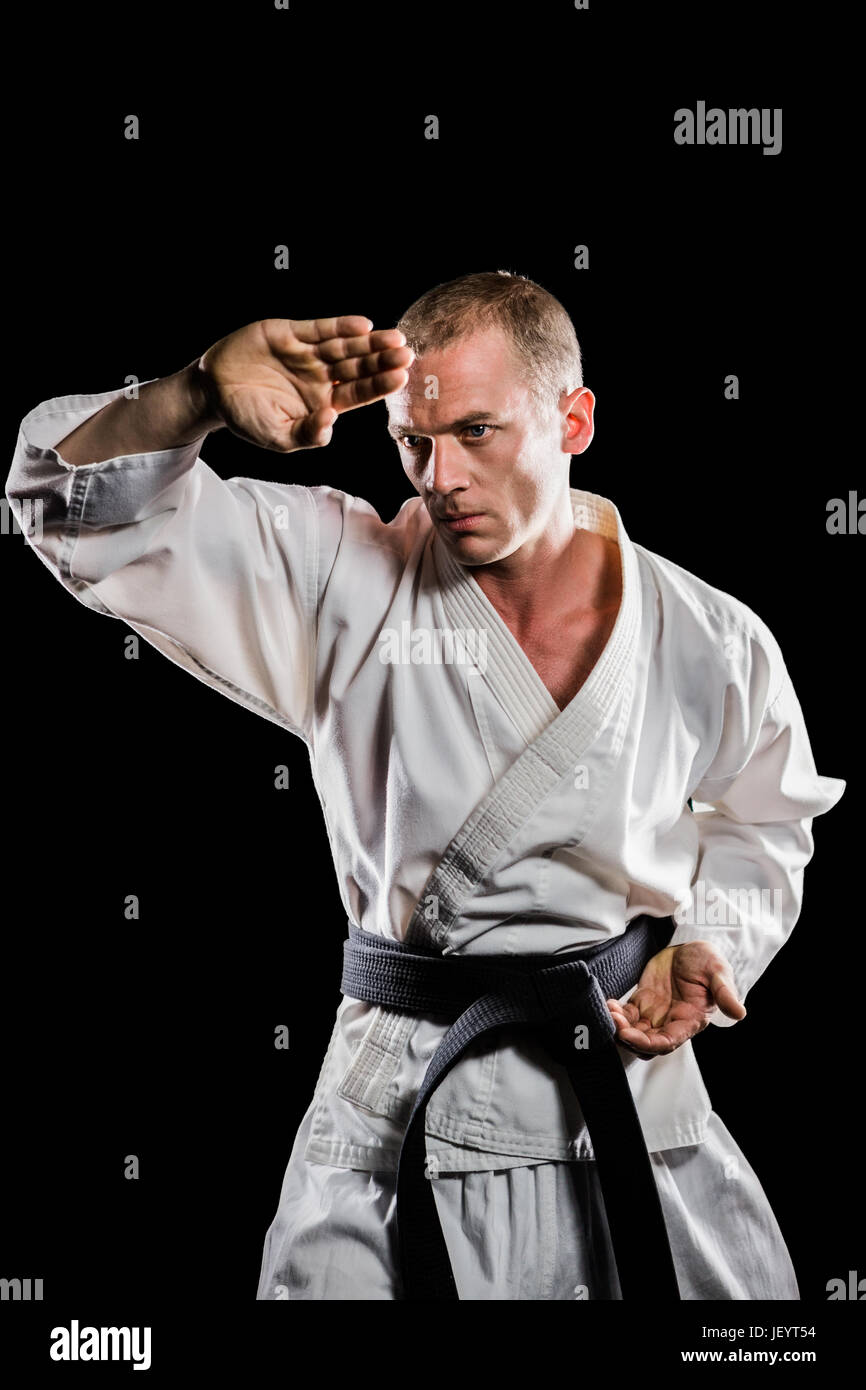 Fighter performing karate stance Stock Photo - Alamy