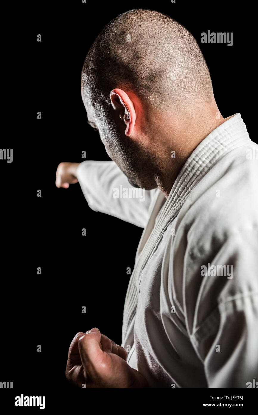 Fighter performing karate stance Stock Photo - Alamy