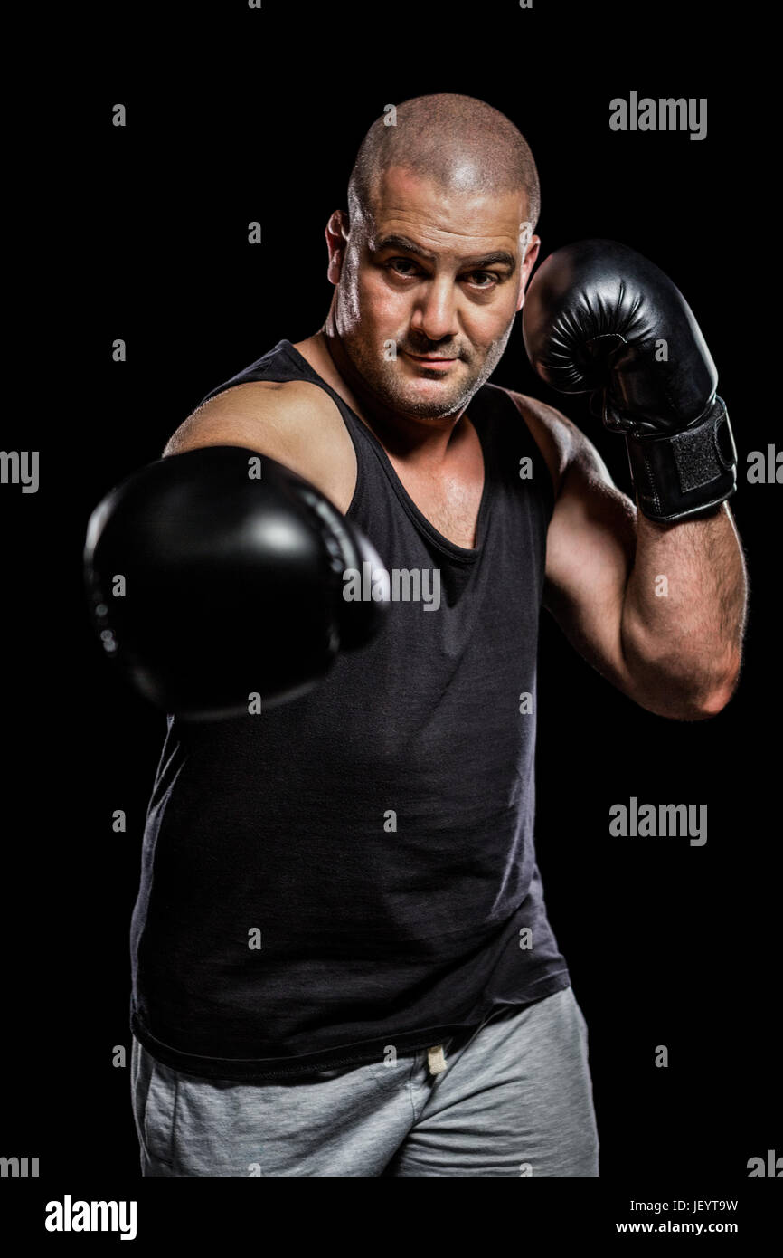 Boxer performing upright stance Stock Photo - Alamy
