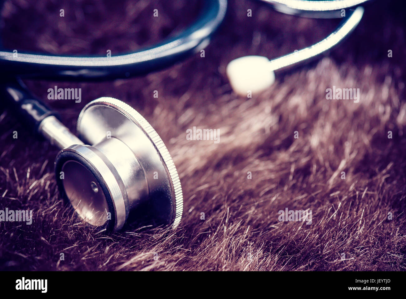 Annual physical checkup hi-res stock photography and images - Alamy