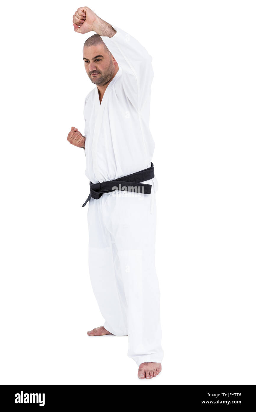 Fighter performing karate stance Stock Photo - Alamy