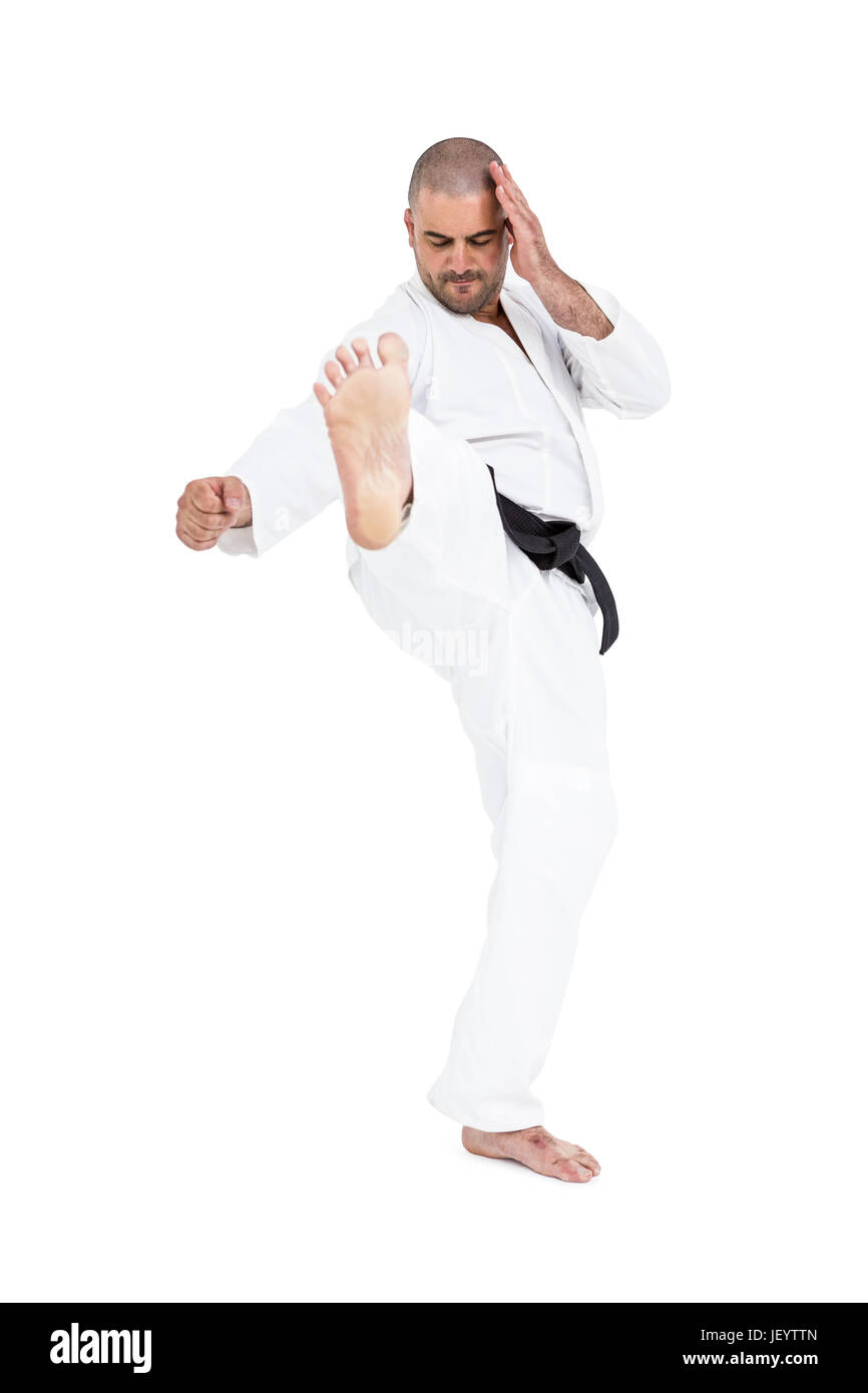 Fighter performing karate stance Stock Photo - Alamy