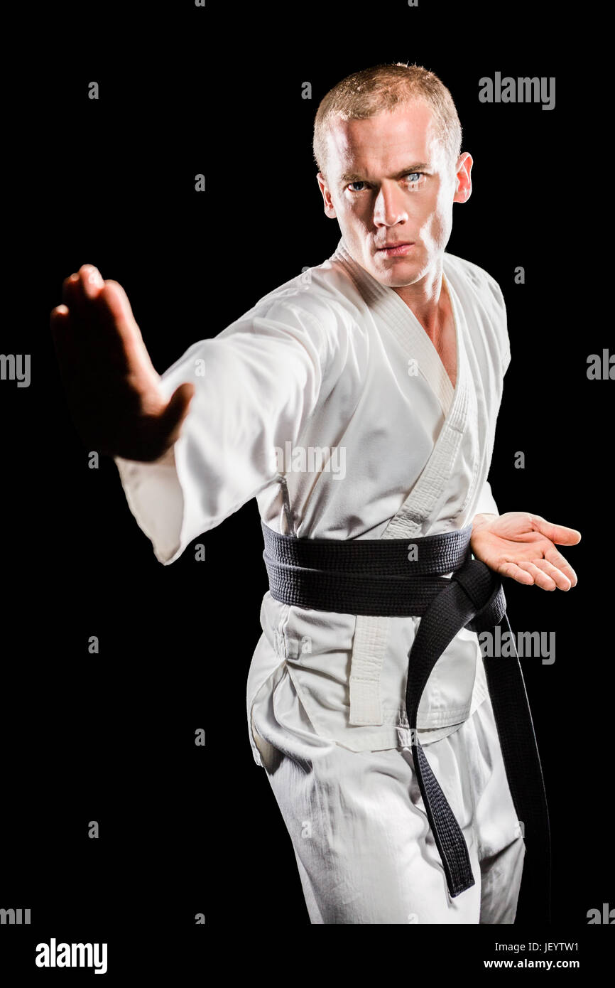 Fighter performing karate stance Stock Photo - Alamy