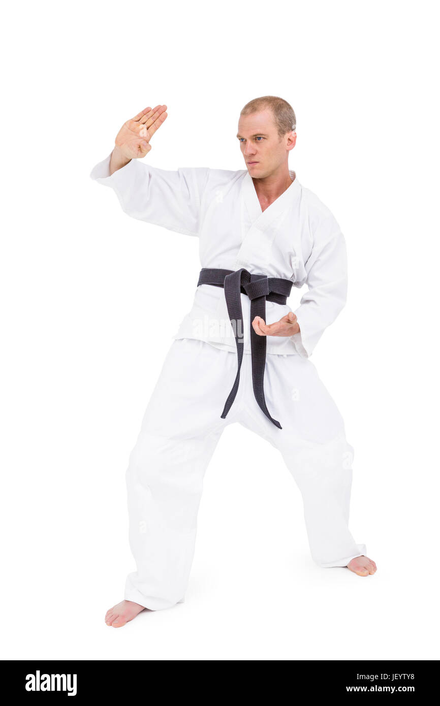 Fighter performing karate stance Stock Photo - Alamy