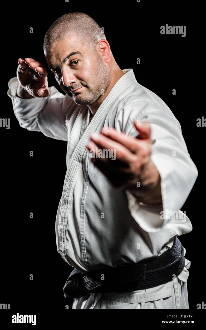 Fighter performing karate stance Stock Photo - Alamy