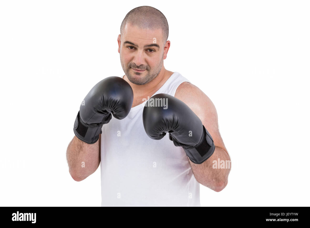 Boxer performing upright stance Stock Photo - Alamy