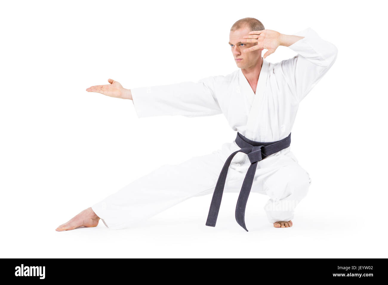 Fighter performing karate stance Stock Photo - Alamy