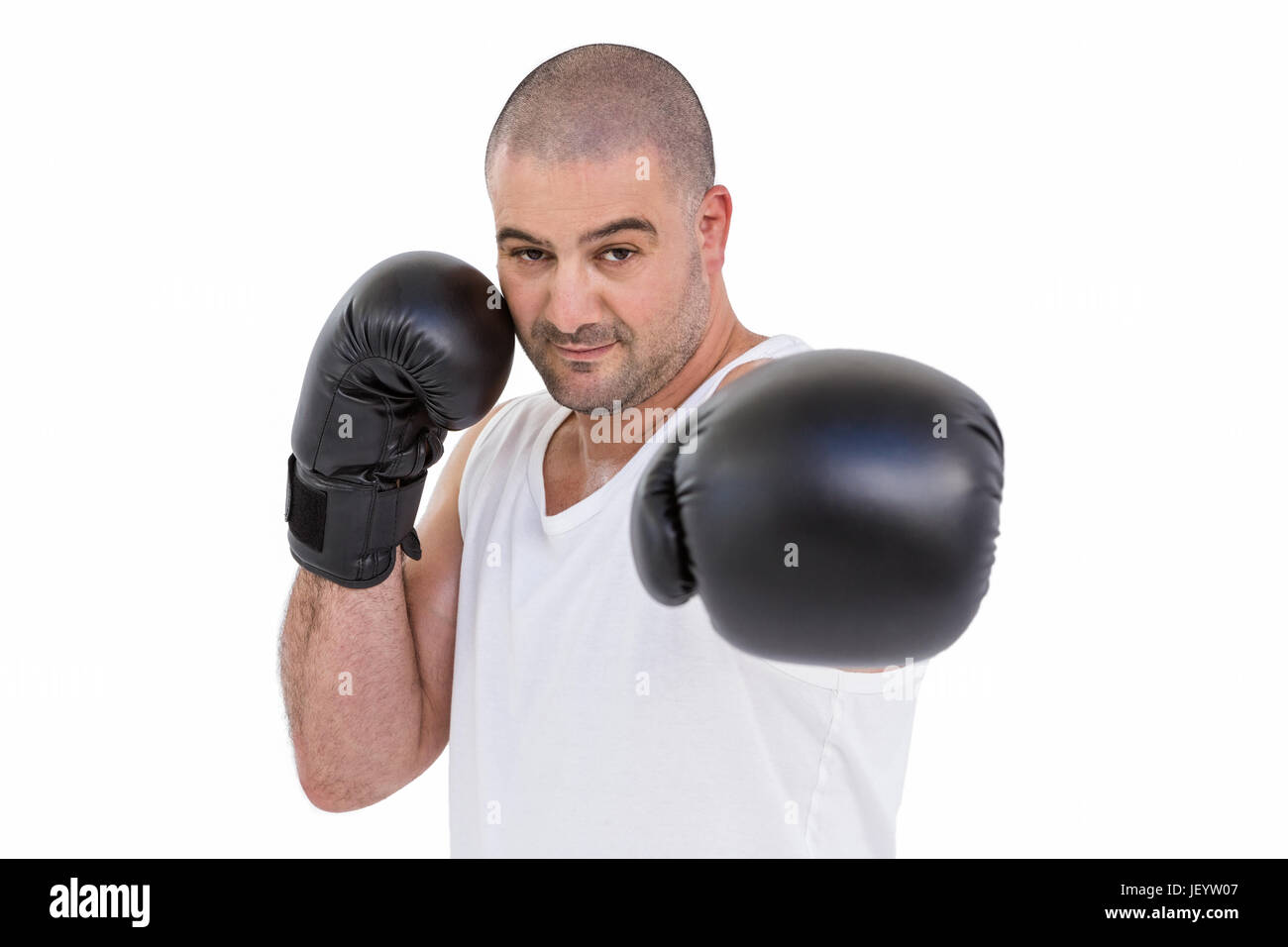 Boxer performing upright stance Stock Photo - Alamy