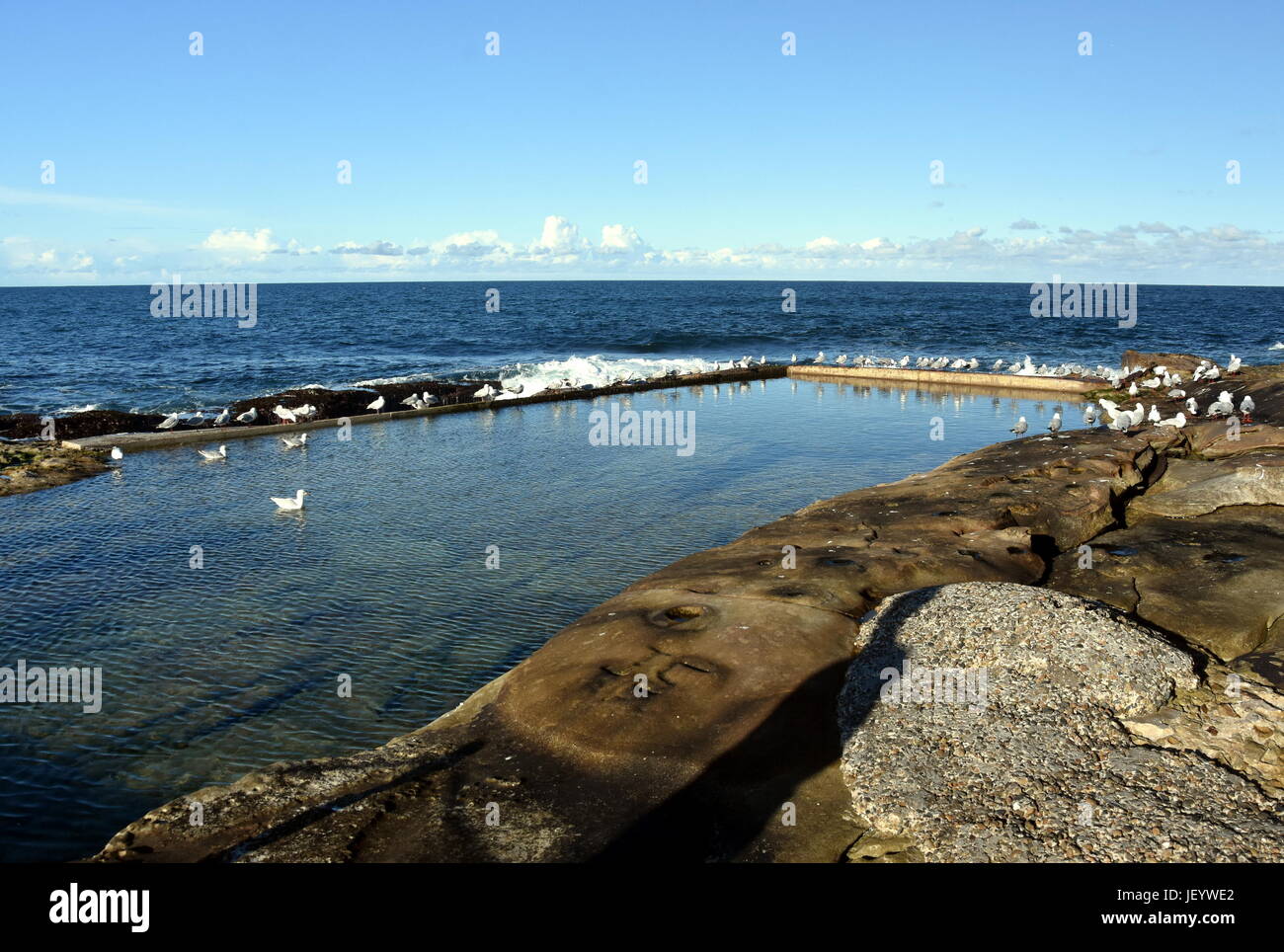 Outdoor rock swimming pool with seagulls at Dee Why beach (Sydney, NSW ...