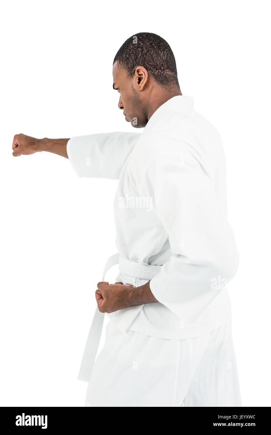 Fighter performing karate stance Stock Photo - Alamy