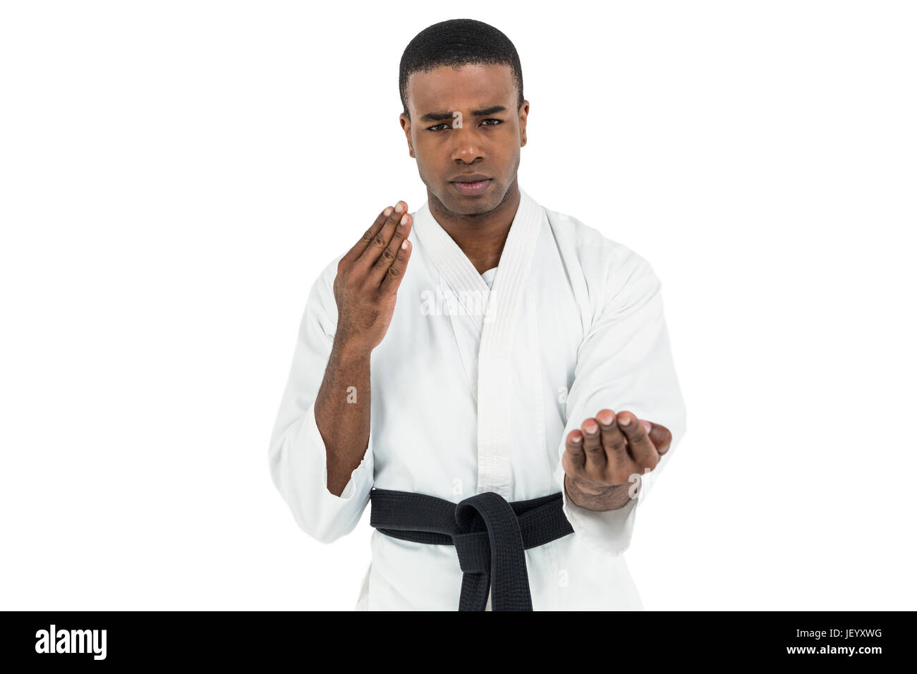 Fighter performing karate stance Stock Photo - Alamy