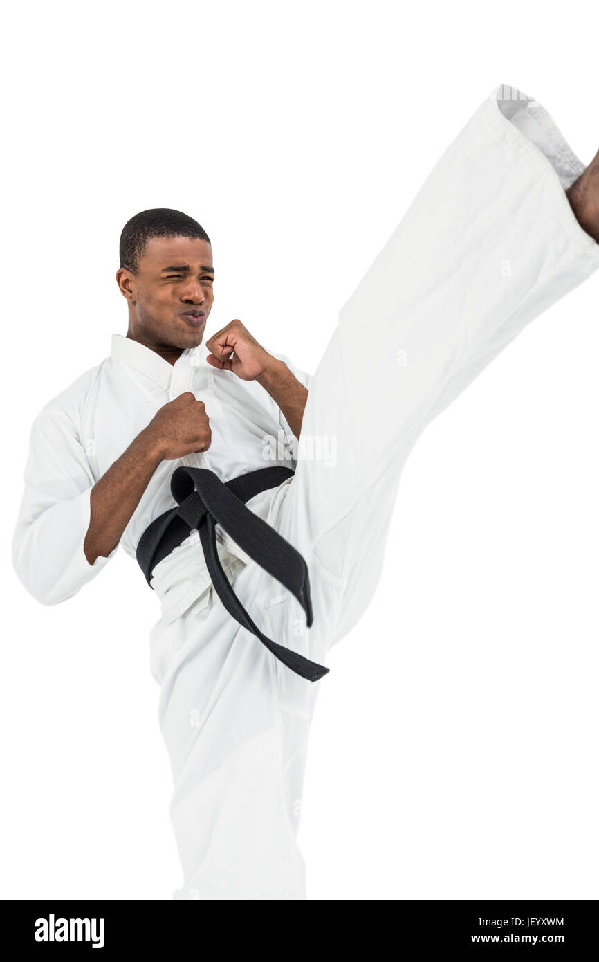 Fighter performing karate stance Stock Photo - Alamy