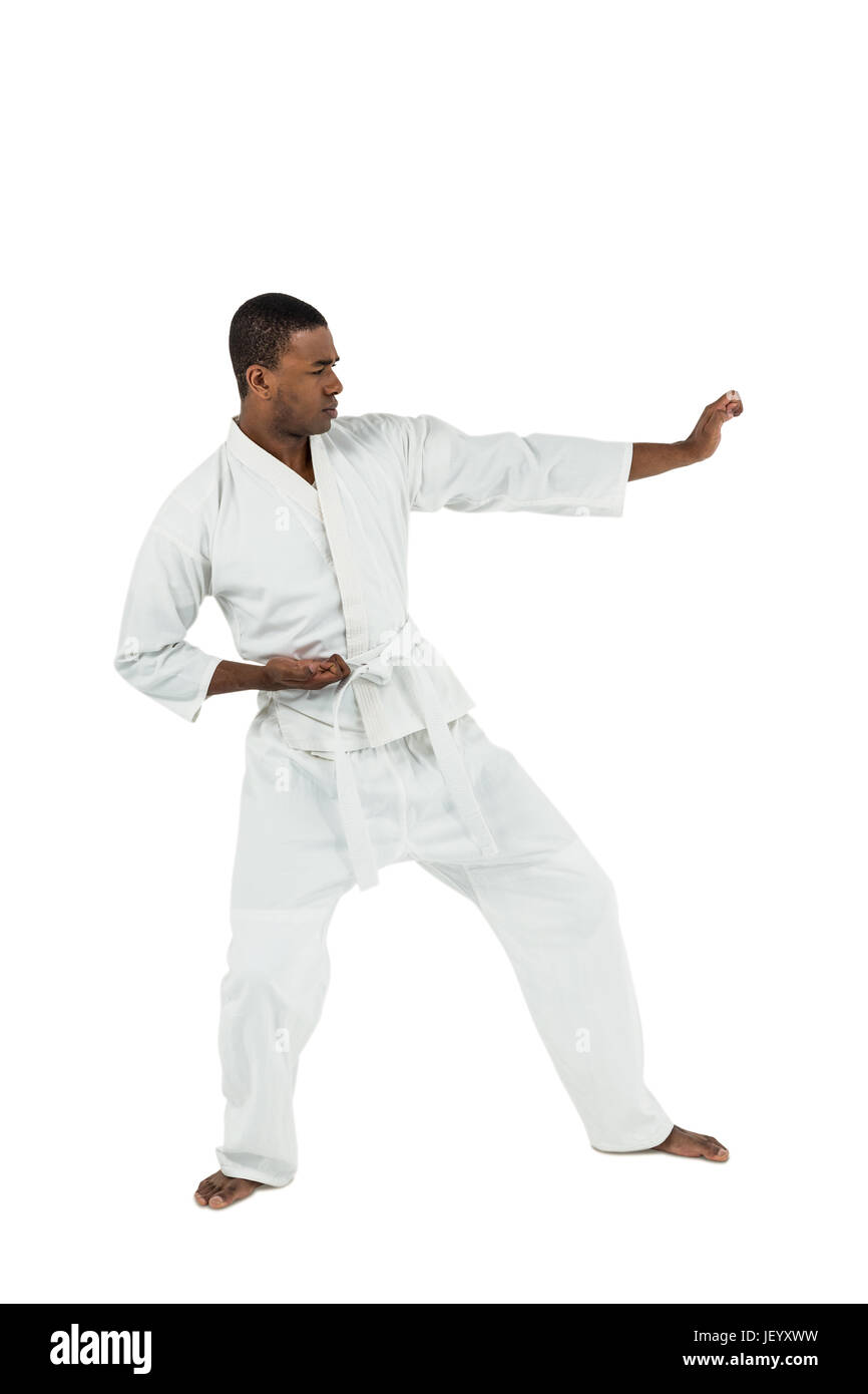 Fighter performing karate stance Stock Photo - Alamy