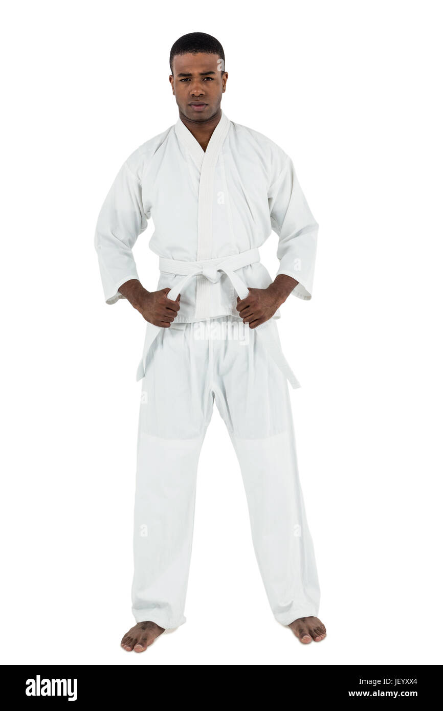 Fighter performing karate stance Stock Photo - Alamy