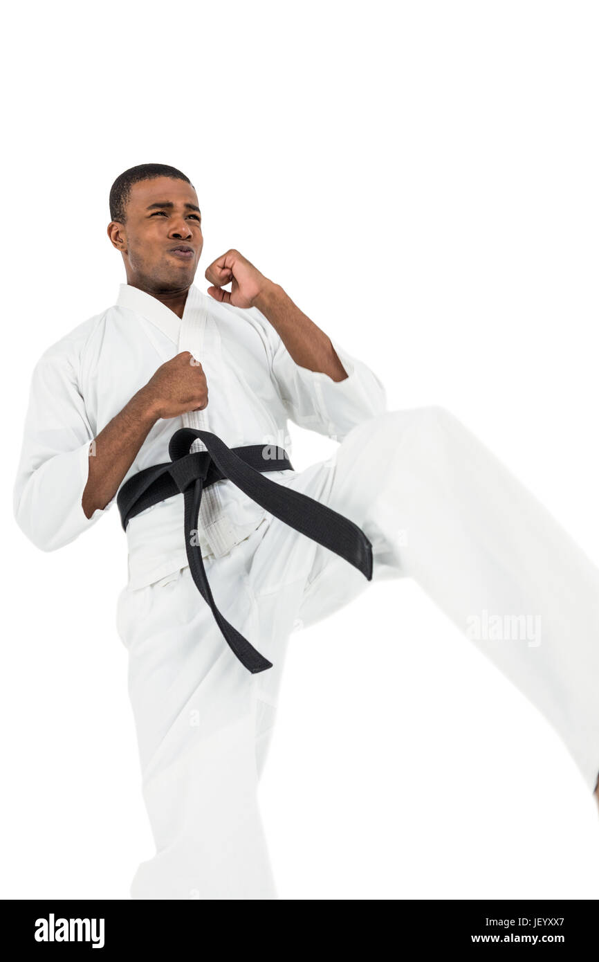 Fighter performing karate stance Stock Photo - Alamy