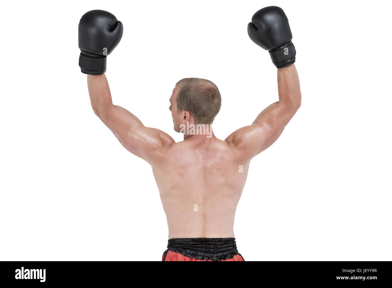 Boxer posing after victory Stock Photo - Alamy