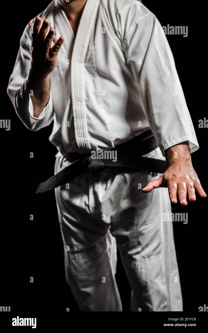 Fighter performing karate stance Stock Photo - Alamy