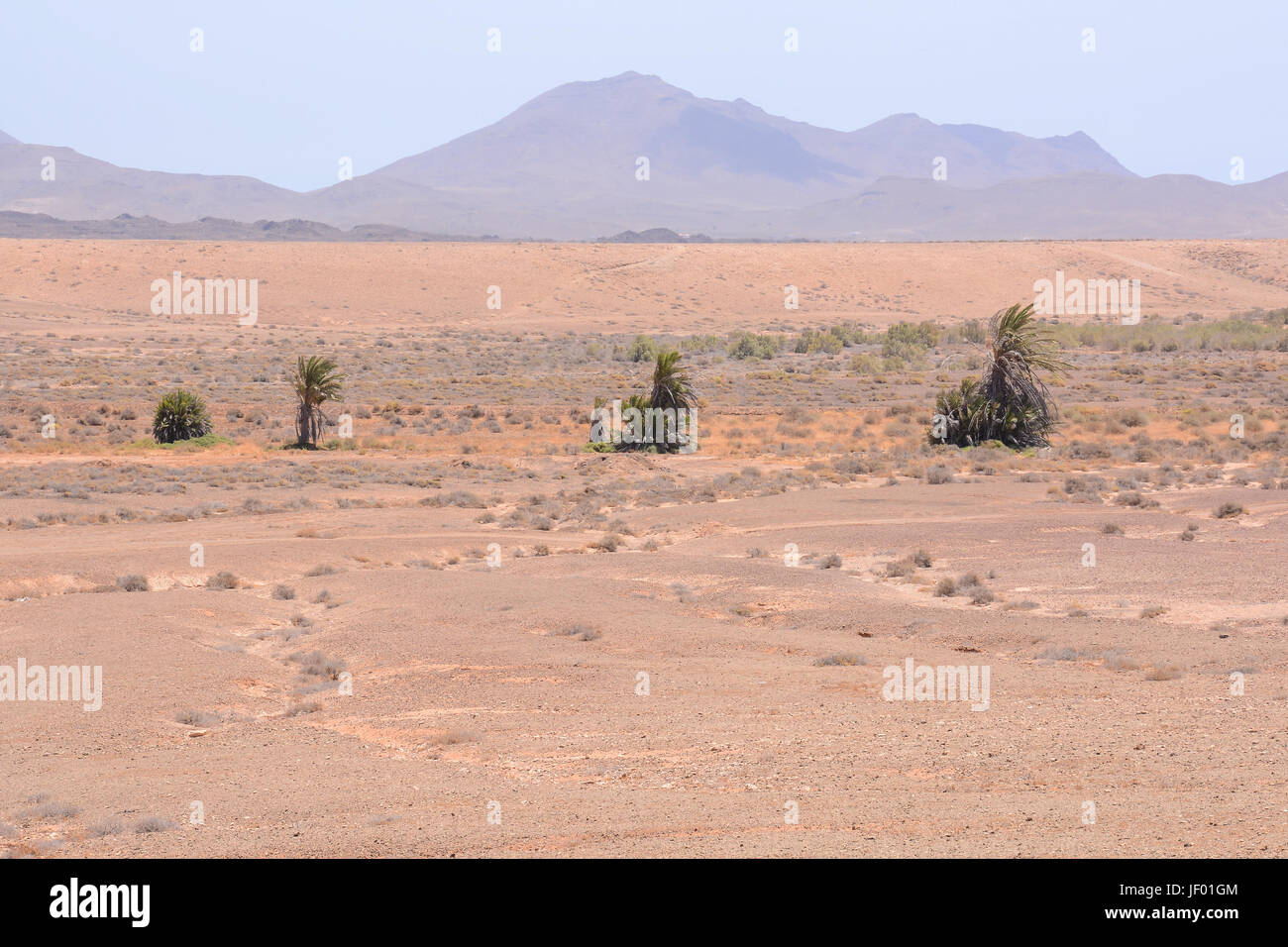 Dry Desert Landscape Stock Photo - Alamy