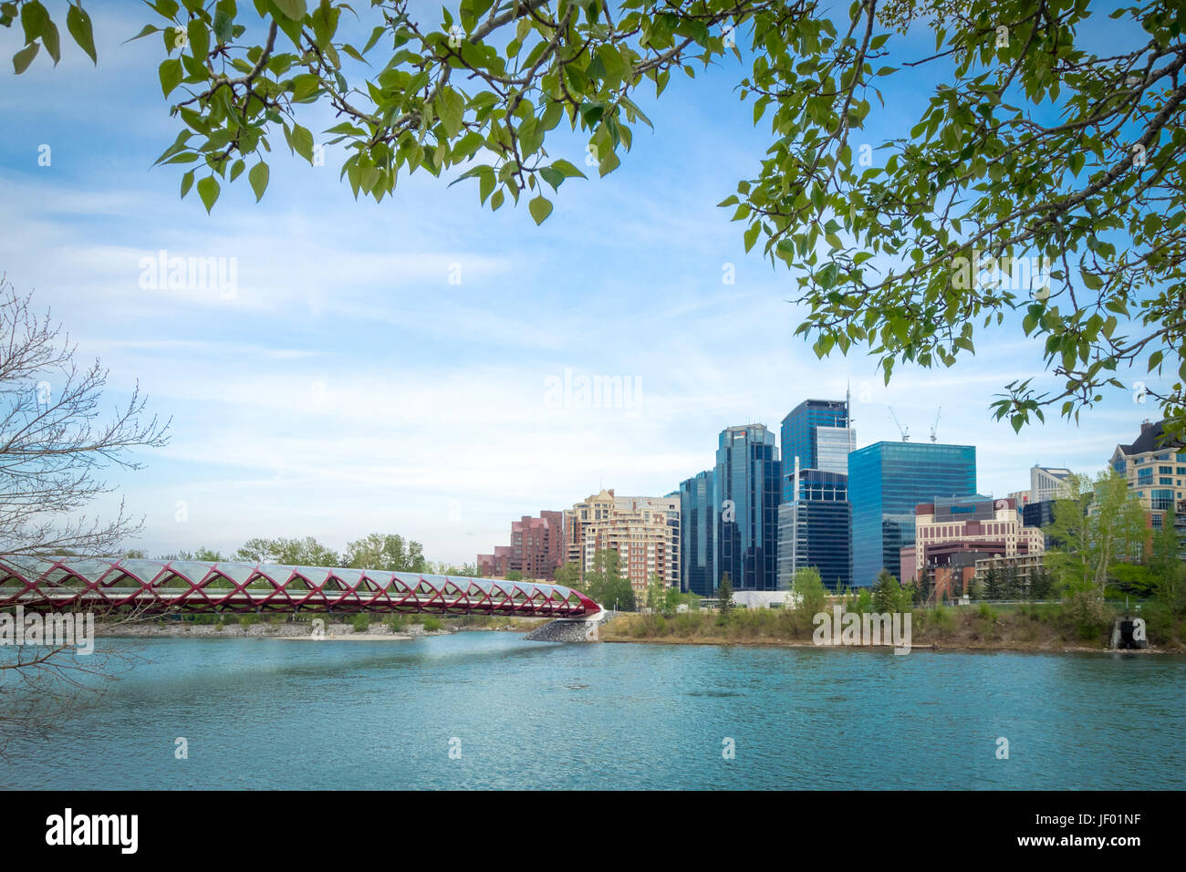 Double helix tubular truss bridge peace bridge calgary hi-res stock ...