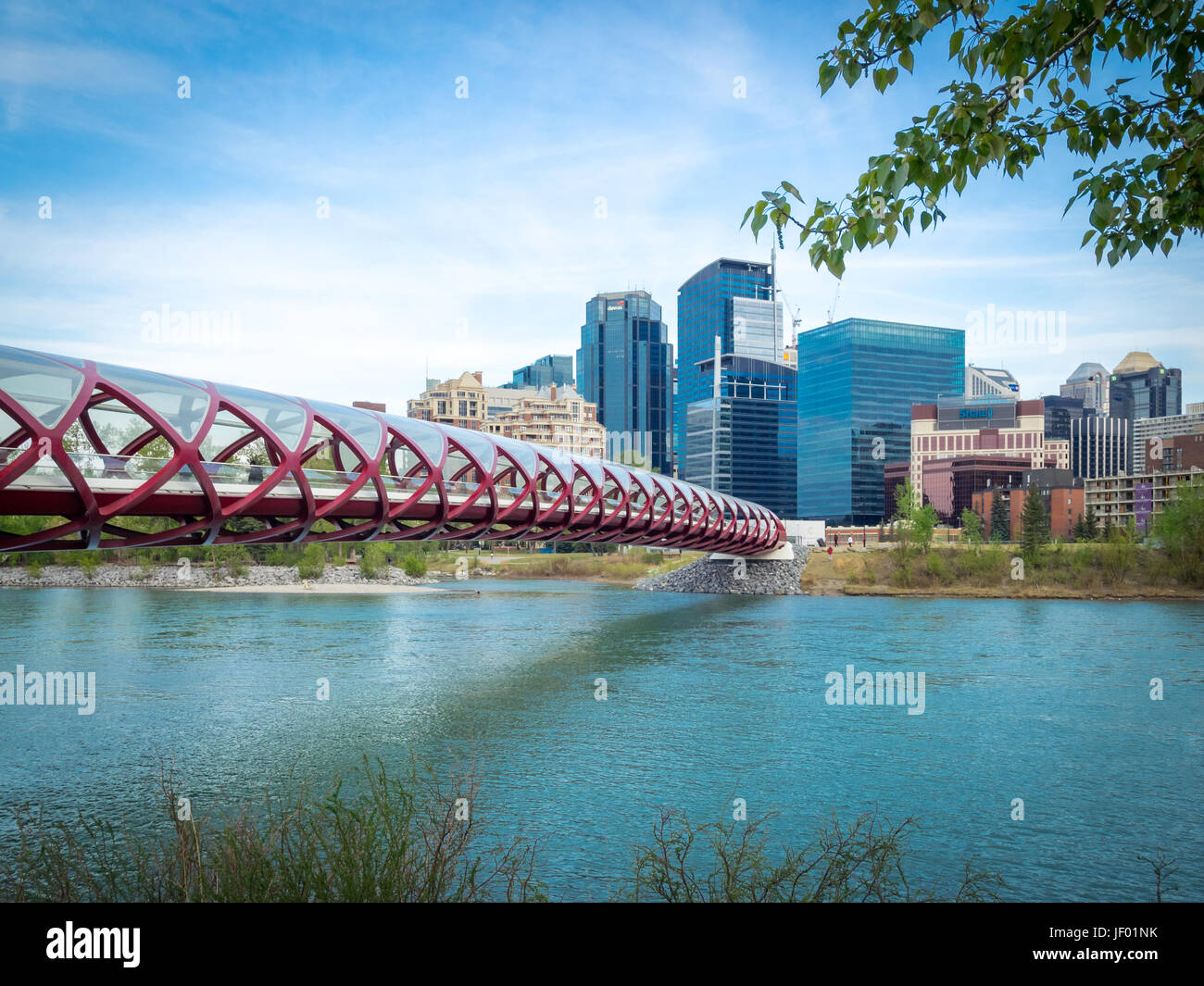 A view of the Peace Bridge (designed by Santiago Calatrava) and the ...