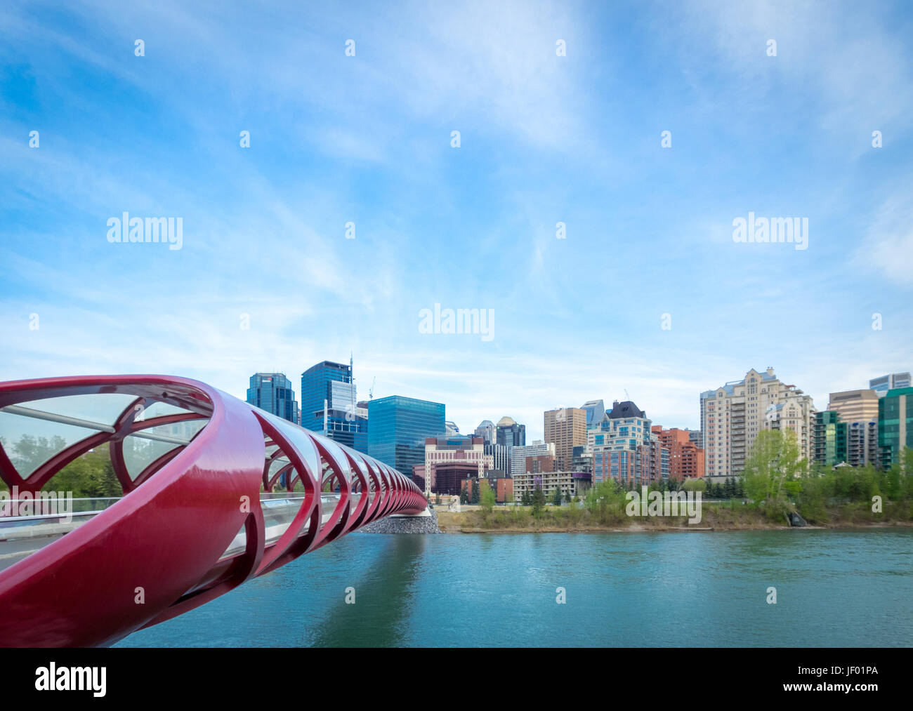 A view of the Peace Bridge (designed by Santiago Calatrava) and the ...