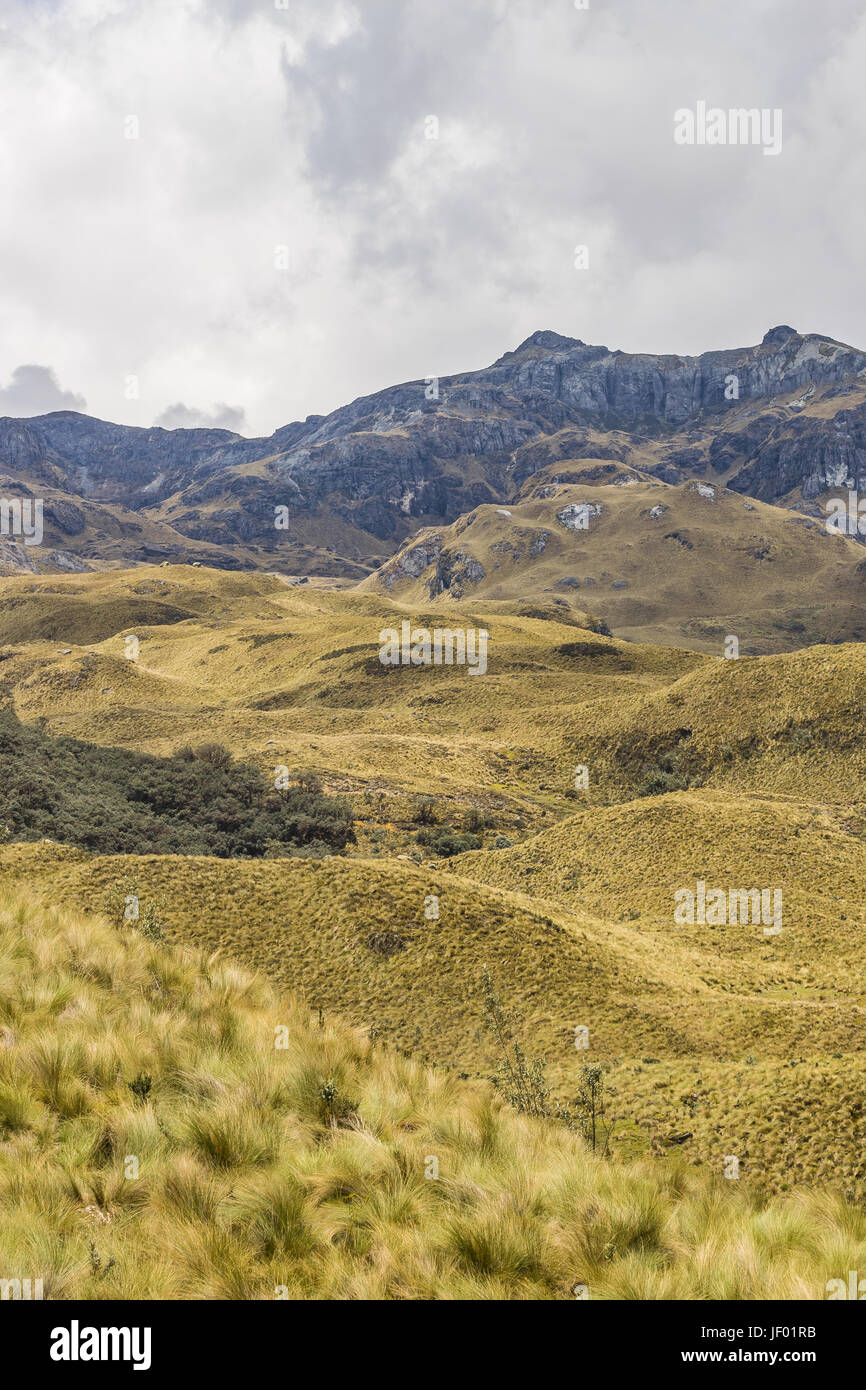 Cajas National Park Cuenca Ecuador Stock Photo - Alamy