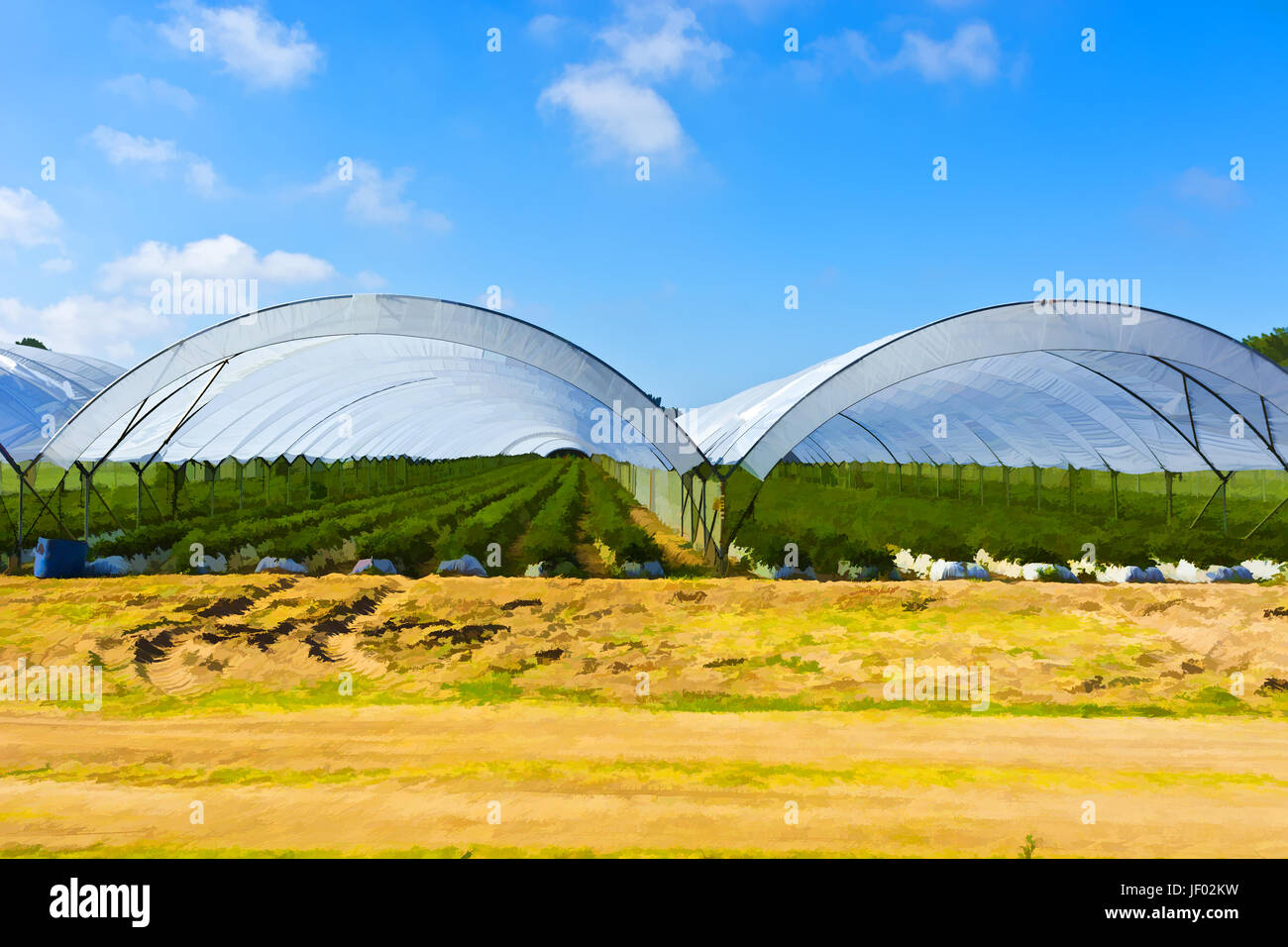 Inside strawberry hi-res stock photography and images - Alamy