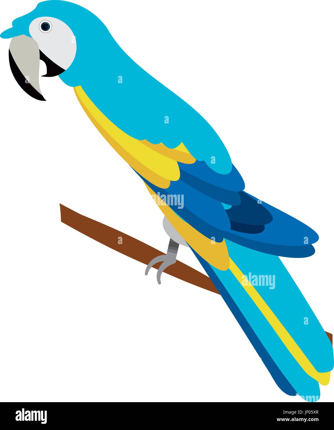 isolated cute blue guacamaya Stock Vector Image & Art - Alamy