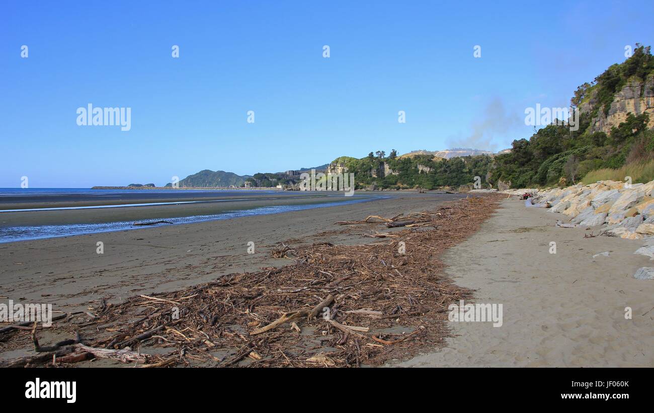 Driftwood at Pohara Beach, New Zealand Stock Photo - Alamy