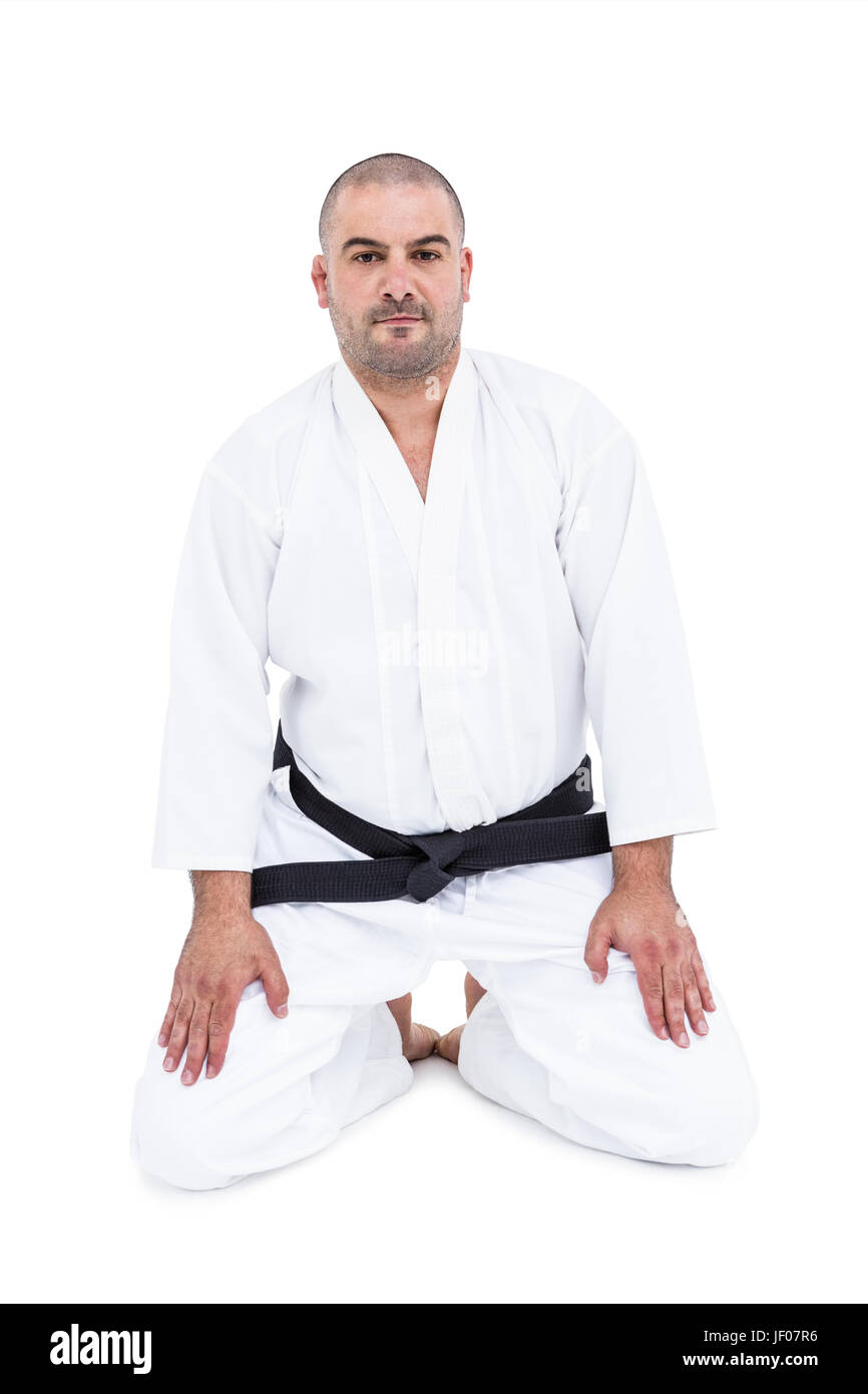 Fighter performing karate stance Stock Photo - Alamy