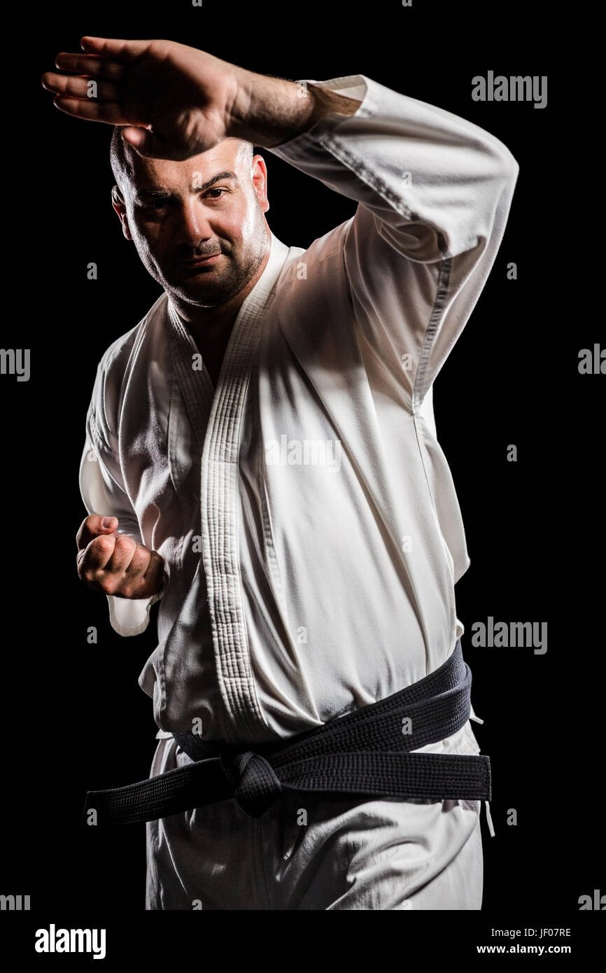 Fighter performing karate stance Stock Photo - Alamy