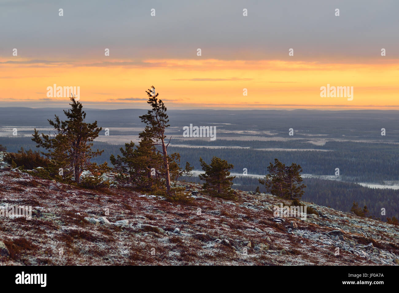 From lapland hi-res stock photography and images - Alamy