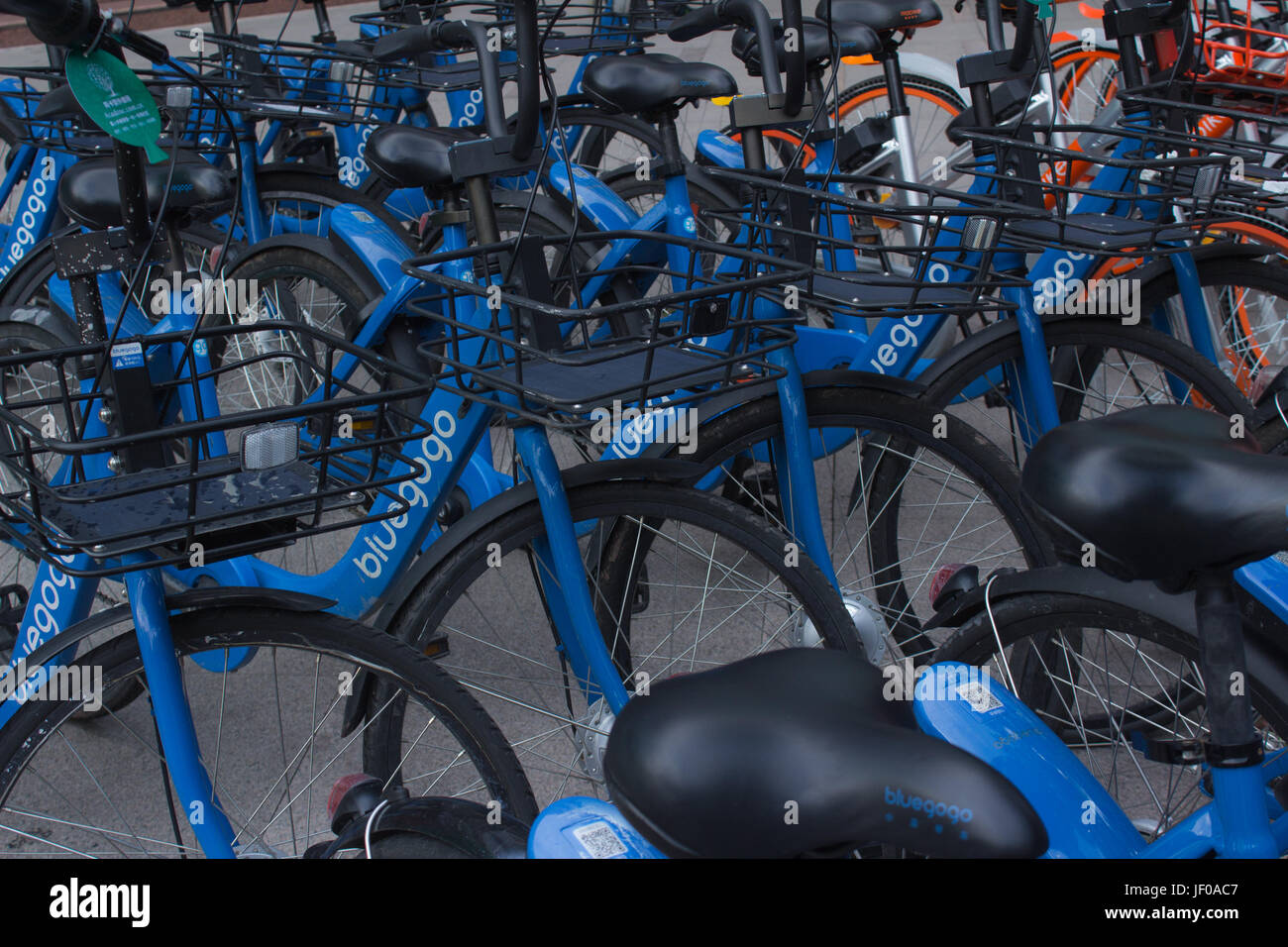 Public bicycles at streets of Shenzhen, Guangdong, People's republic of ...