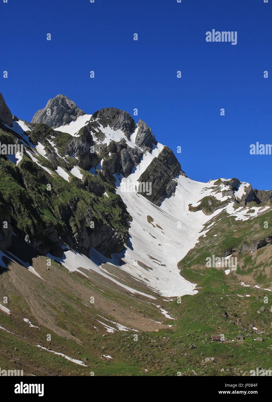 Altmann hi-res stock photography and images - Alamy