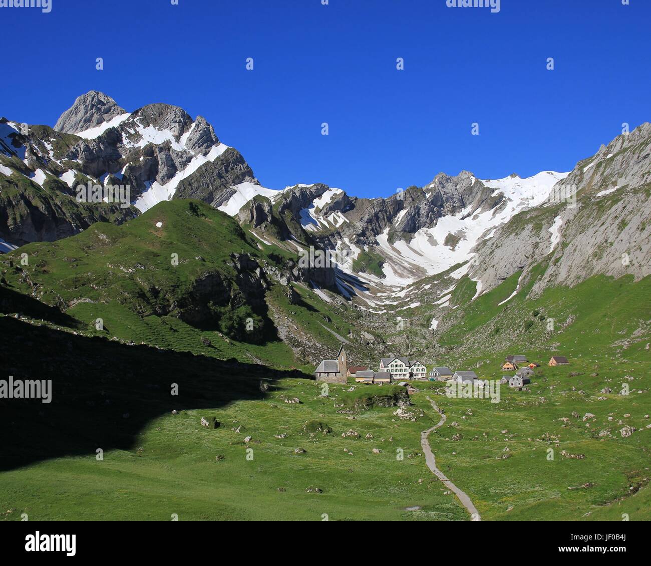 Altmann hi-res stock photography and images - Alamy