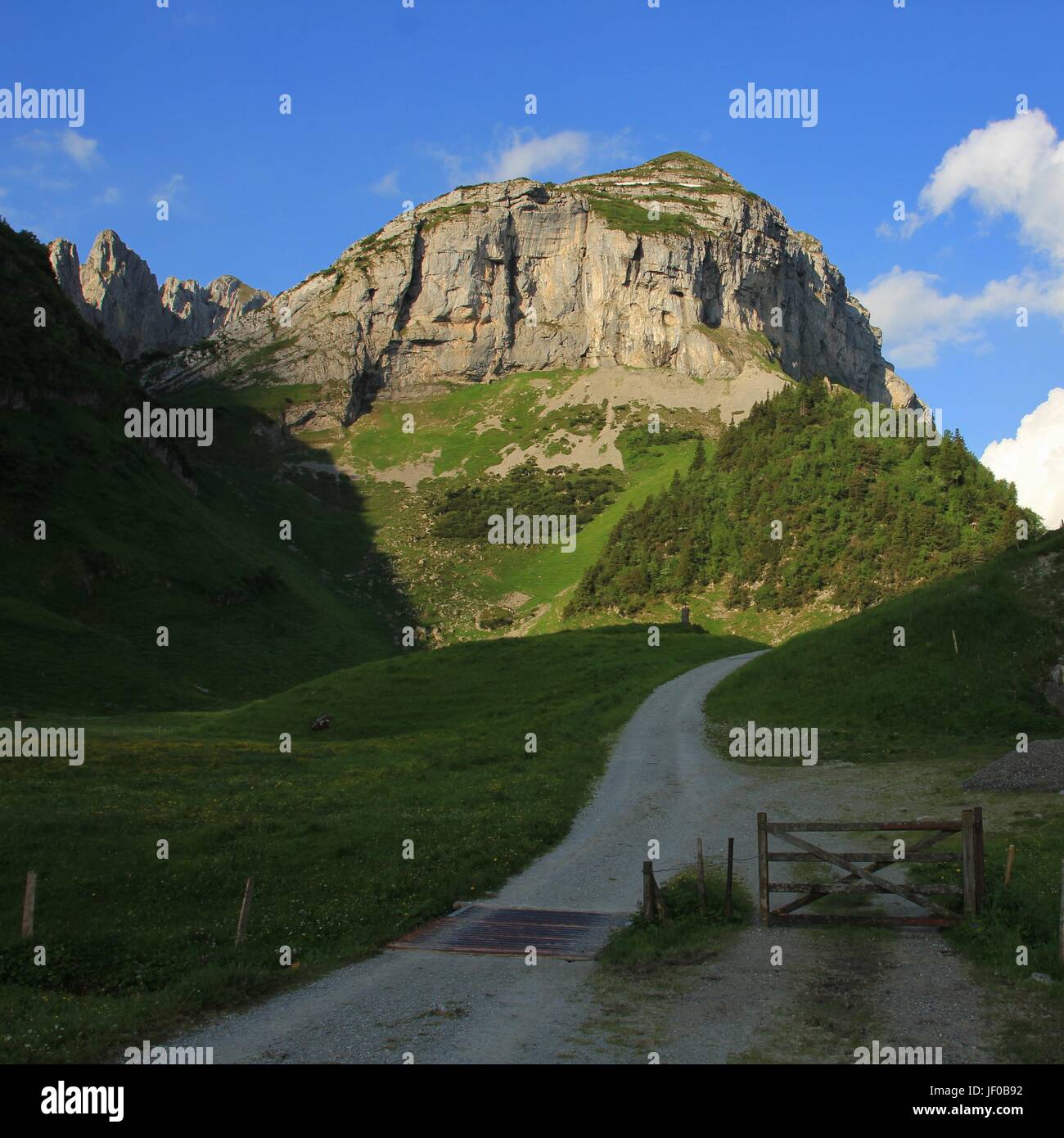 Saxer hi-res stock photography and images - Alamy