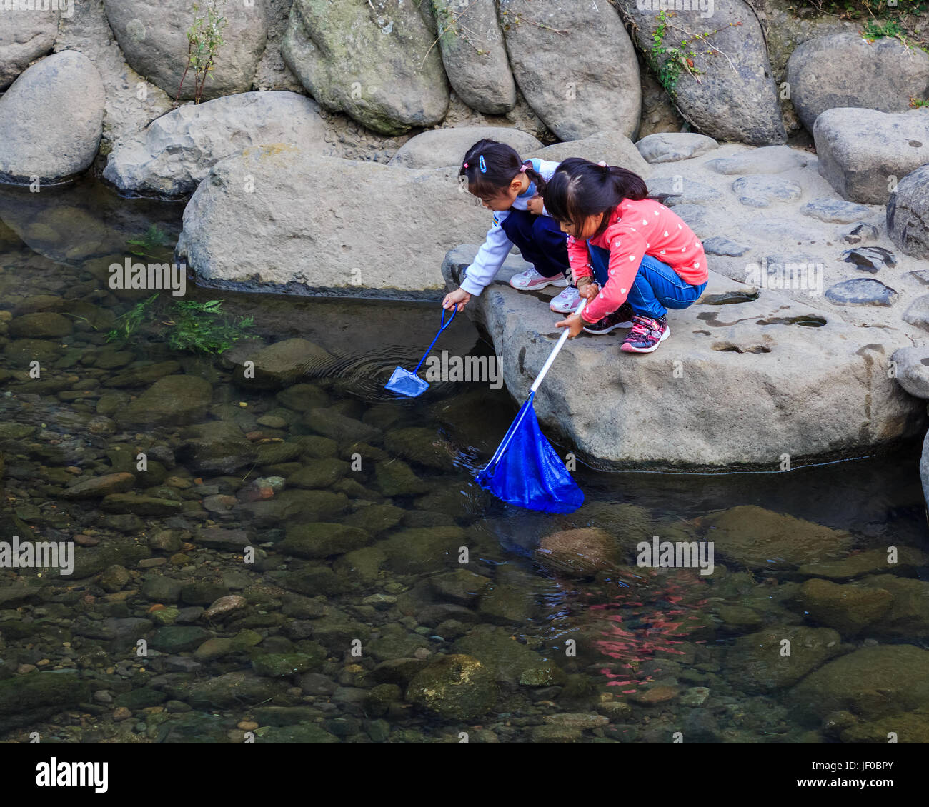 Smalls Japanese students to collect water insect from the river Stock ...