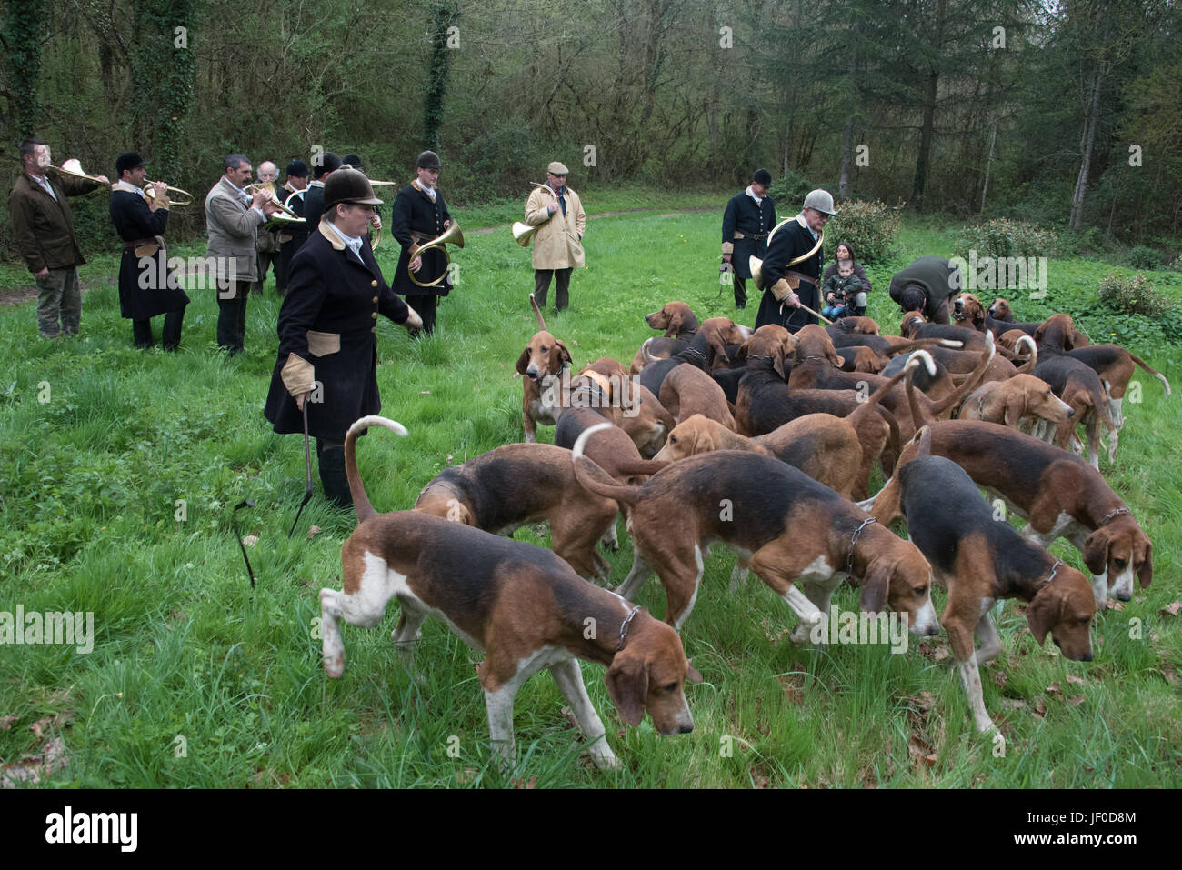 Hounds chasing hi-res stock photography and images - Alamy
